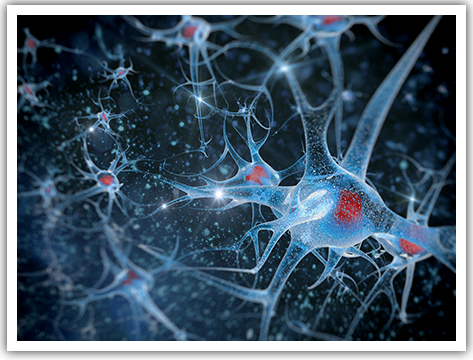 School of Health Sciences :: Jamesford University