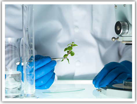 School of Natural Sciences :: Jamesford University